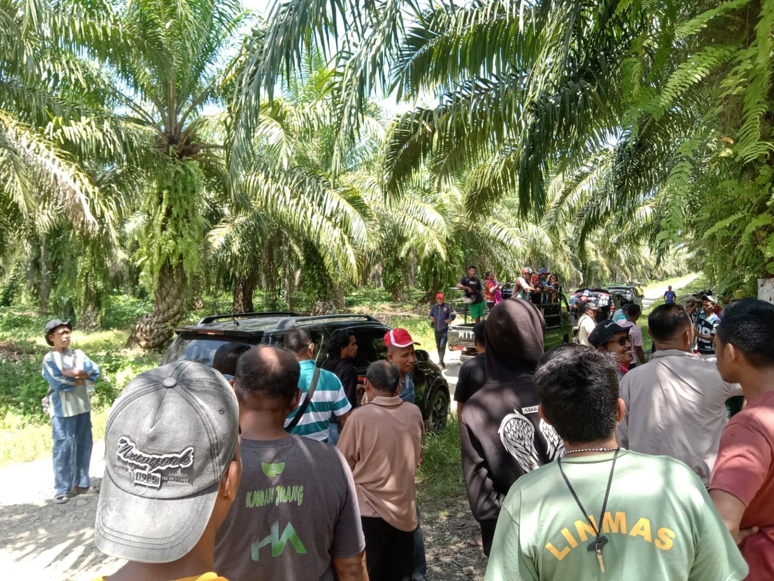 Sengketa Lahan Sawit di Seram Utara | TitaStory